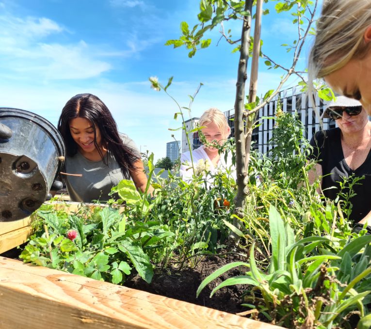 Hadley Property Group